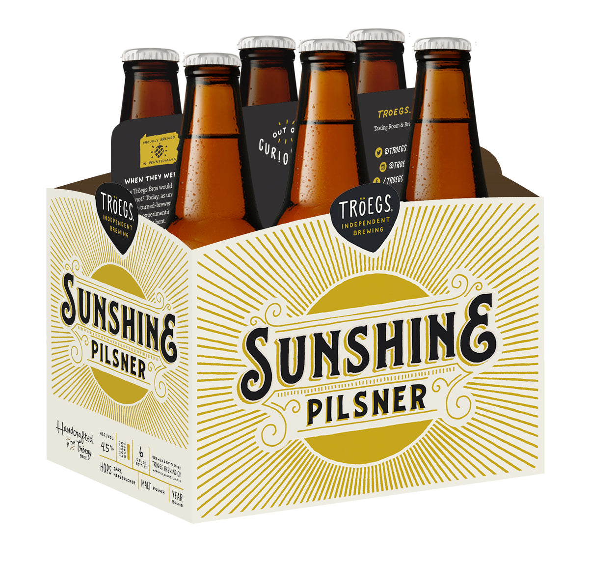 Mockup-Sunshine-6PackNEW_1200x1200.jpg?v=1602642209